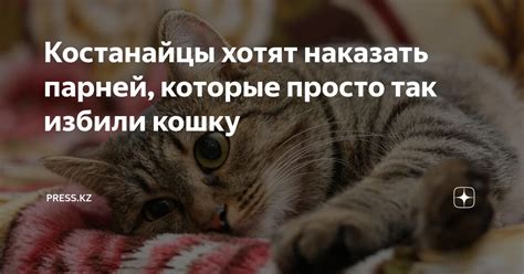 Костанайцы хотят наказать парней которые просто так избили кошку