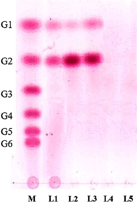 The Hydrolysis Products By Recombinant Cdase Derived From Anoxybacillus