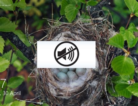 Mute Mic With A Keyboard Shortcut On Windows 10 Tech Support