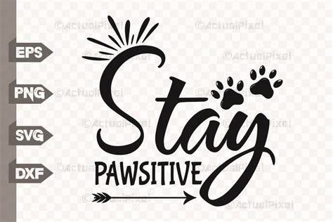 Funny Kitten Crazy Cat Quotes Graphic By Actual Pixel · Creative Fabrica