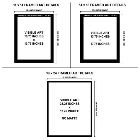 Class Amphibia Frogs Newts Salamanders And More Science Etsy Canada