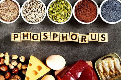 Sodium Potassium Protein And Phosphorus Why Are These Essential Nutrients Dangerous For Ckd
