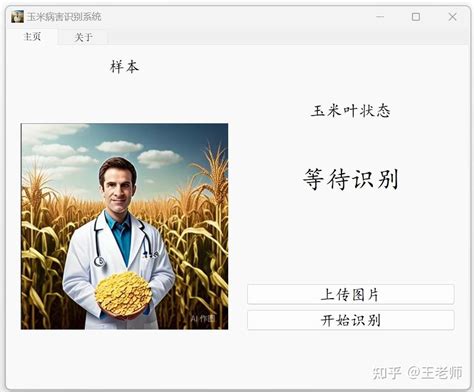 基于Tensorflow卷积神经网络玉米病害识别系统 知乎
