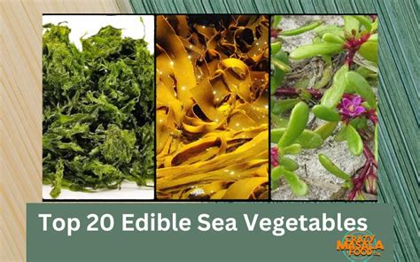 Top 20 Edible Sea Vegetables Crazy Masala Food