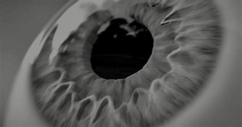 Specialty Ophthalmology • Litfl Medical Blog • Eye Collection