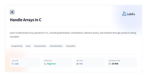 Handle Arrays In C Labex
