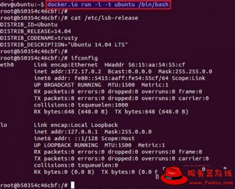 在ubuntu系统上使用docker容器服务器在线专注于服务器技术