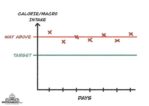 How To Count Macros And Make Meals The Essential Guide