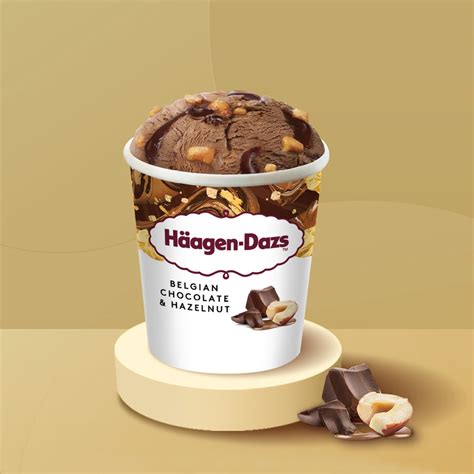 하겐다즈 벨지안 초콜릿and헤이즐넛 파인트 473ml 배민스토어