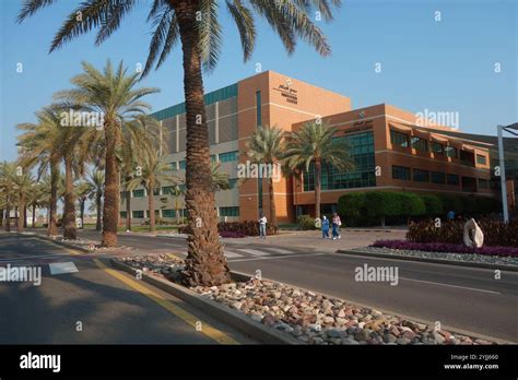 Innovation Cluster Building On Campus Of The King Abdullah University Of Science And Technology