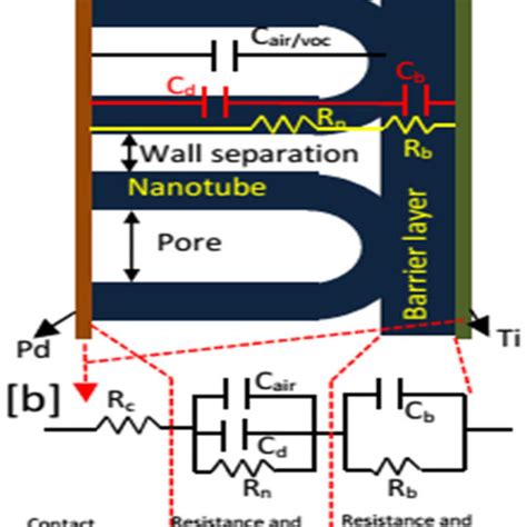 A Schematic Illustrations Of The Tio 2 Nanotube Based Capacitive Download Scientific Diagram