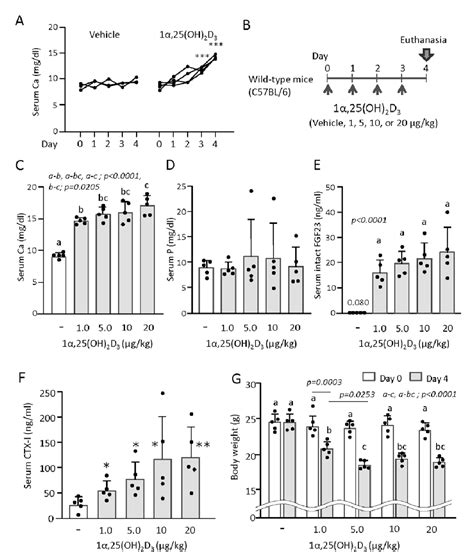 Figure 1 From The Vitamin D Receptor In Osteoblast Lineage Cells Is