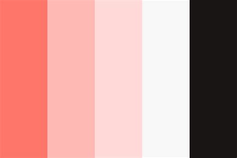 Salmon Pattern To Focus On Color Palette