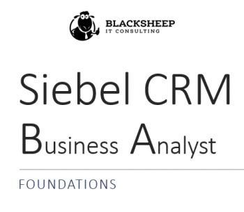 Blog Classic View The Siebel Hub
