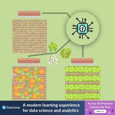 miguel esteban on linkedin deeplearning bigdata offers ai4good
