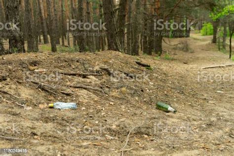 사람이 던진 숲에서 쓰레기의 형태로 빈 플라스틱 병과 유리 병 인간의 생명 제품에 의한 환경 오염의 개념 개념에 대한 스톡 사진 및 기타 이미지 Istock
