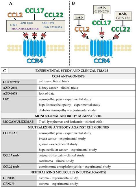 CC Chemokine Receptor 4 (CCR4) as a Possible New Target for Therapy ...
