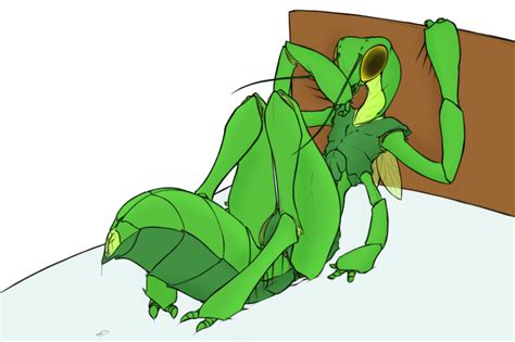 Rule 34 Abdomen Antennae Bed Compound Eyes Dungeons And Dragons Edit