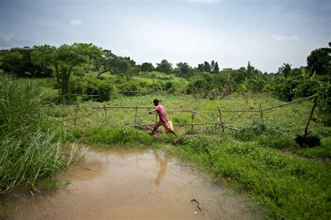 Getting Governments To Use Evidence Through The Embedded Evidence Labs