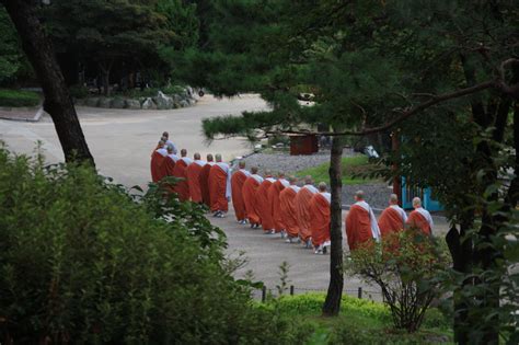 한마음 Hanmaum Journa Hanjournal1045 한그루의 숲에서 내 마음에 의해서 이 운전사에 의해서 이 몸뚱이