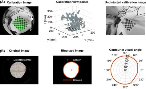 A Calibration Procedure From Left To Right An Example Calibration Download Scientific