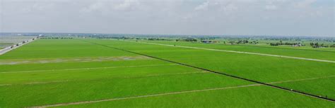 Why People Like Plots And The Advantages Of Buying Plots In Chennai