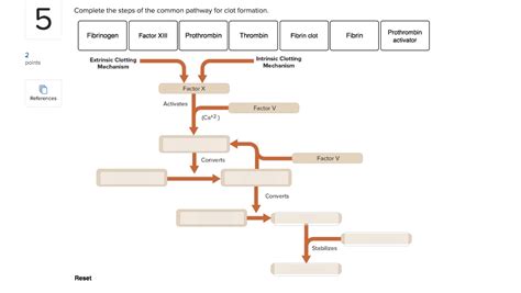 Solved Complete The Steps Of The Common Pathway For Clot