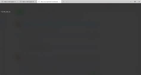 Help Wanted Tmux Print Control Chars After Startup Issue