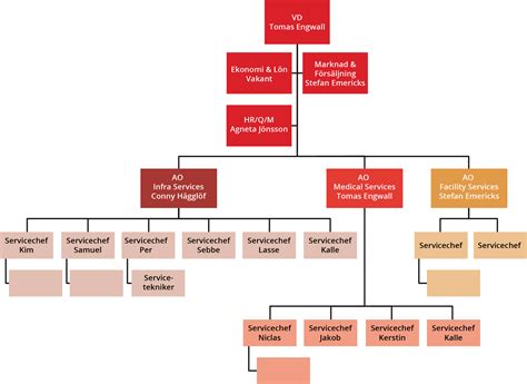 Organisation Saps Service Management