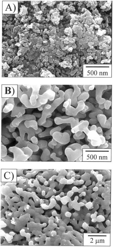 Sem Micrographs Of The Tcp Precipitates Obtained At Ph74 A