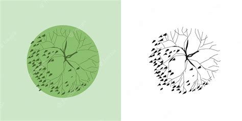 Premium Vector Deciduous Tree Top View Landscape Design