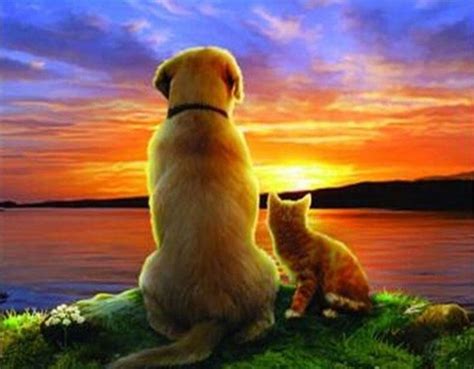 5d Diamond Painting Sunset Lake Cabin Kit Bonanza Marketplace