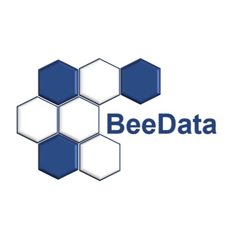 Bee Data Youtube