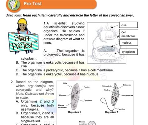 Pre Test Directions Read Each Item Carefully StudyX