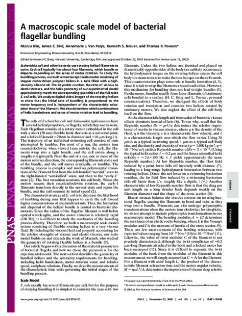 Pdf A Macroscopic Scale Model Of Bacterial Flagellar Bundling