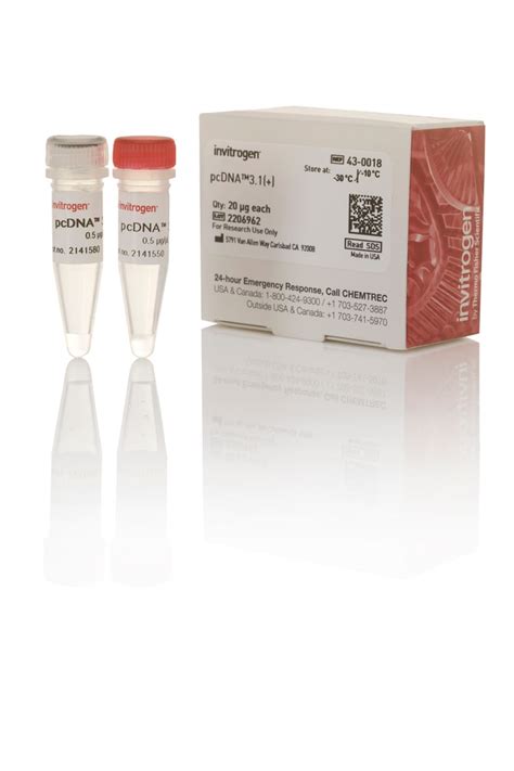 Invitrogen Pcdna 31 Mammalian Expression Vector 20 μg Buy Online