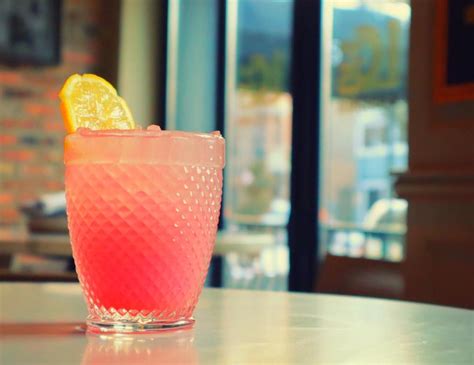 16 Best Gin And Tonic Recipes For Summer Travel Geek Explorer