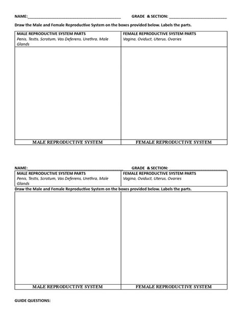 Science 10 Activity Sheet Male And Female Reproductive System Pdf