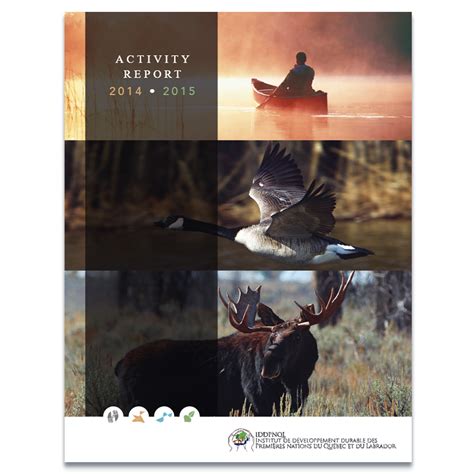 Activity Report 2014 2015 Cssspnql