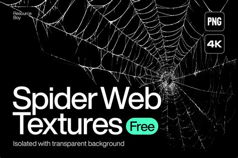 200 Free Spider Web Textures [png 4k Resolution]