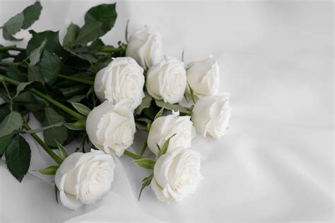 Premium Photo View Of Delicate White Rose Flowers