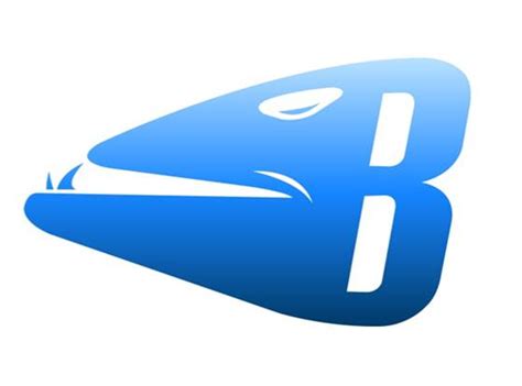 Barracuda Backup Server 390 Replace Hard Drive Networking