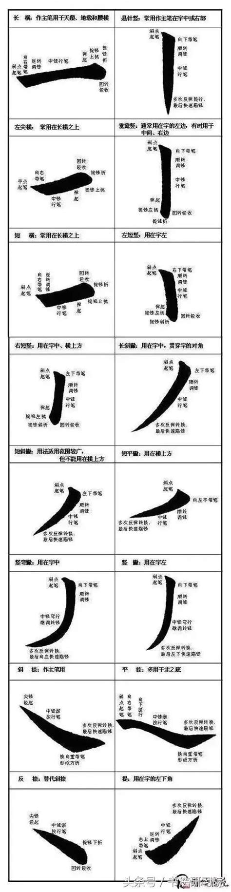 条的笔顺 自动 动态图 大山谷图库