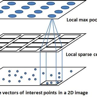 An Example Architecture Of Convolutional Sparse Coding Download Scientific Diagram