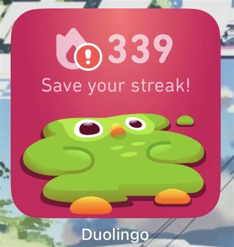 New Widget Photos R Duolingo