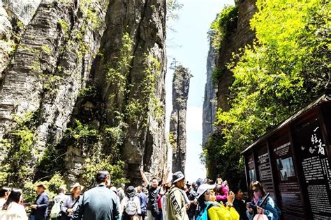 建好“两山”实践创新示范区 打造世界知名旅游目的地 农村新报数字报