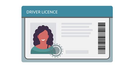 Driverâs License Graphic With Photo Barcode And Biometric Fingerprint
