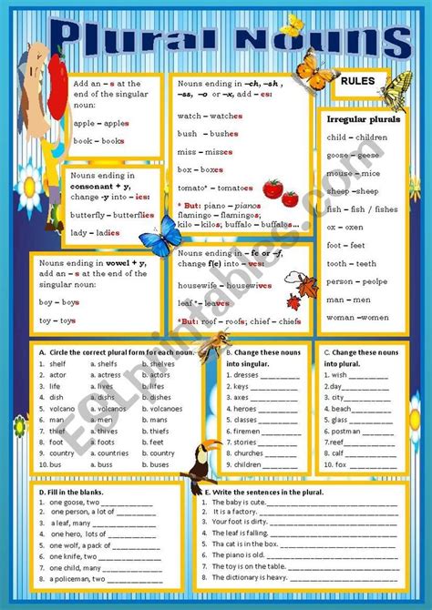 Rules And Exercises A Circle The Correct Plural Form For Each Noun B