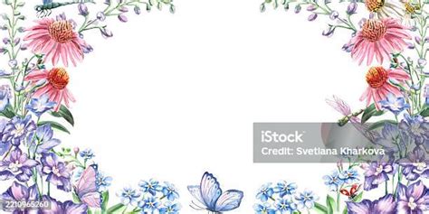 에키네시아 델피늄 잠자리와 함께 물망초의 꽃이 있는 직사각형 프레임 엽서 인쇄물 달력 화장품 포장의 디자인을 위한 고립된 수채화 삽화 가벼운에 대한 스톡 벡터 아트 및 기타