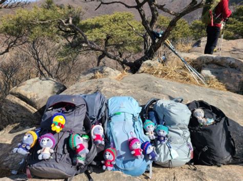 오픈런도 했다 국립공원 캐릭터 반달이와 꼬미 왜 이렇게 귀여울꼬미 네이버 포스트